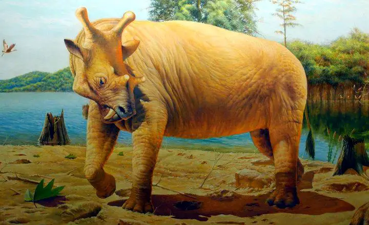 ¿Qué es Cenozoico? - Su Definición, Concepto y Significado